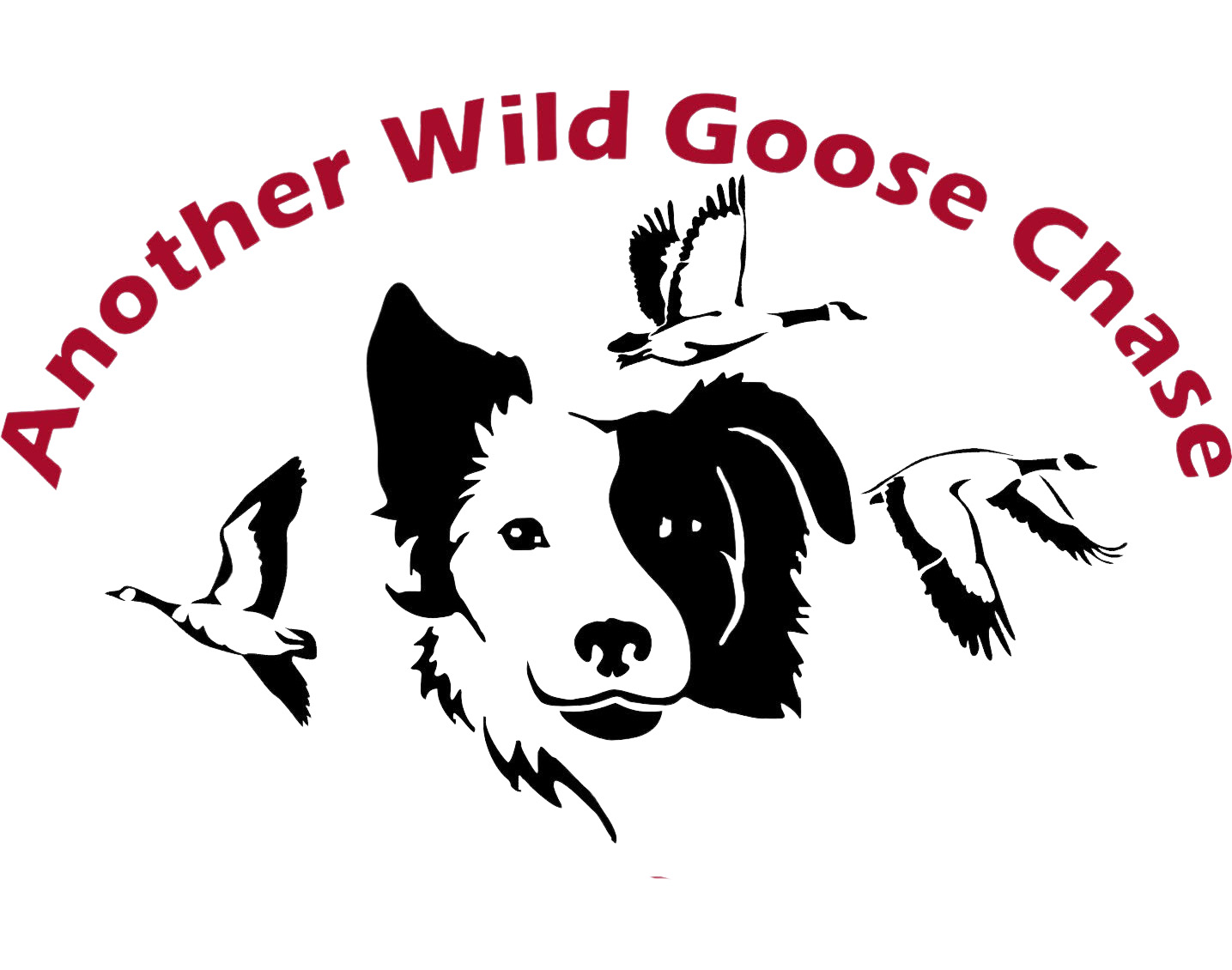 Humane Bird Control Services in St. Louis | Wild Goose Chasers - Another Wild Goose Chase - St ...